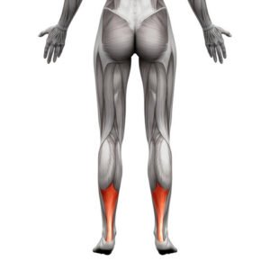 Ballet Jumps: A Full Guide with Technique and Tips.